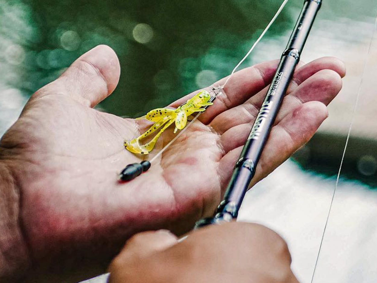 Tocka - Rig Guides - SPRO Freestyle